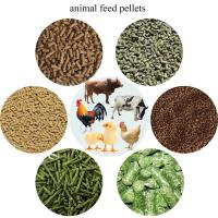 China 55kw Chicken Feed Production Line Animal Feed Manufacturing Machine for sale