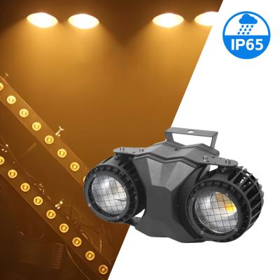 China BD02F 2x100w Dual Eye LED Par Light Disco Audience Lights Wedding Party Lighting for Outdoor Activities Dj Stage Events for sale