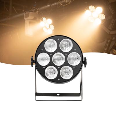 China L407 High Power Cob Stage Par Light RGB 350w Outdoor Garden Spot Flood Light 3200/5600K Warm White for Wedding Bar Stage for sale