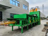 China Xrido Hydraulic Gantry Shears Machine for Scrap Metal Cutting for sale