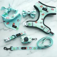 China 6 Piece Adjustable Dog Harness Vest Matching Collar Leash Bow Tie And Bandana Set for sale