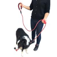 China EVA Reflective Double Handle Dog Leash Dog Round Rope With Clip And Padded Handle 180cm for sale
