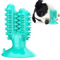 China Dog Toothbrush Silicone TPR Cactus Dog Chew Toys For Teeth for sale
