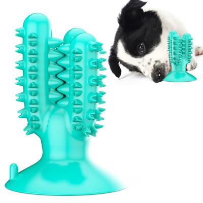 China Dog Toothbrush Silicone TPR Cactus Dog Chew Toys For Teeth for sale