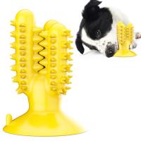 China Dog Toothbrush Silicone TPR Cactus Dog Chew Toys For Teeth for sale