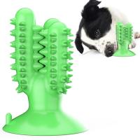 China Dog Toothbrush Silicone TPR Cactus Dog Chew Toys For Teeth for sale