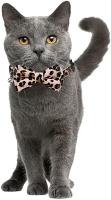 China Breakaway Buckle Cat Collar Bells With Cute Bow Tie For Kitty Small Dogs Adjustable for sale