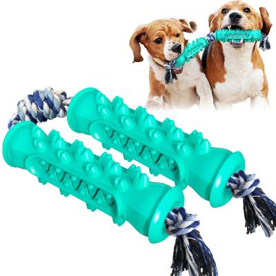 China SEDEX Double Serrate Safe Chew Toys For Puppies Dog Toothbrush Stick With Rope for sale