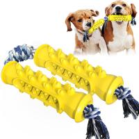 China SEDEX Double Serrate Safe Chew Toys For Puppies Dog Toothbrush Stick With Rope for sale