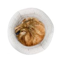 China 2021 Wholesale Cuddle Cup Shape Cat and Dog Bed Pets Bed with High Walls for Deep Sleep Washable Pet House for sale