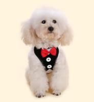 China Adjustable Collar Leash Harness Set Handmade Dog Collar With Bow Tie Traction Vest Rope L 35-50cm for sale