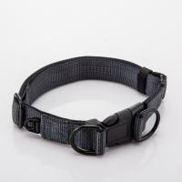China Adjustable Double D Buckles Dog Collar And Leash Set Chain Dog Nylon Lead Reflective for sale