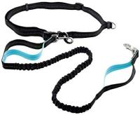 China Retractable Rope Reflective Dog Harness Waist Belt Dual Handle Elastic Bungees Hands Free Dog Leash for sale