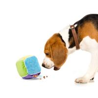 China Eco-Friendly Colorful Intelligent Pet Toys Cotton Plush Leakage Food Cube Dog Chew Toys for sale