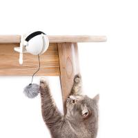 China Interactive Electronic Auto Lift Ball Cat Pet Toys Funny Stick Cat Teaser Toy for sale