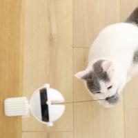 China Interactive Electronic Auto Lift Ball Cat Pet Toys Funny Stick Cat Teaser Toy for sale
