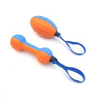 China Non Toxic TPR Durable Interactive Indestructible Squeaky Dog Toys With Sound for sale