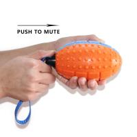 China Non Toxic TPR Durable Interactive Indestructible Squeaky Dog Toys With Sound for sale