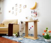 China Double Layer Solid Cat Scratch Board Tree 60*30*63cm for sale