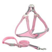 China Breathable Mesh Reflective Leash And Collar set Chest Strap Traction Set Dog Collar And Leash Kit for sale