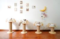 China Eco Friendly Wood Scratching Cat Climbing Tree Tower Cat Photo Table L Size 72cm M 62cm for sale