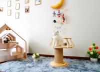 China Eco Friendly Wood Scratching Cat Climbing Tree Tower Cat Photo Table L Size 72cm M 62cm for sale