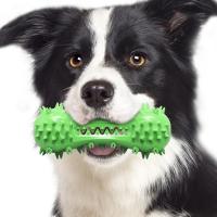 China Nontoxic Natural Rubber Bite Resistant Dog Pet Toys Dog Toothbrush Toys 160g for sale
