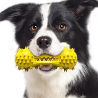 China Nontoxic Natural Rubber Bite Resistant Dog Pet Toys Dog Toothbrush Toys 160g for sale