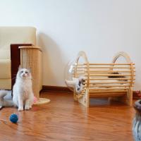 China Capsule Wood Cat Bed House With Window for sale