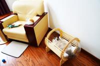 China Capsule Wood Cat Bed House With Window for sale