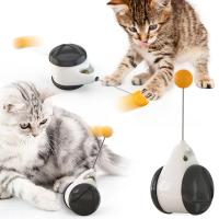 China Indoor Cat Pet Toys With Catnip Tumbler Balance Interactive Kitten Cat Training Wheel for sale