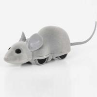 China App Mouse Racer Phone Controlled Cat Toy With Android & IOS Interactive for sale
