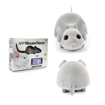 China App Mouse Racer Phone Controlled Cat Toy With Android & IOS Interactive for sale