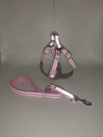 China Oxford Cloth Light Reflecting Pet Collar Leash Harness Set Safety Comfortable for sale
