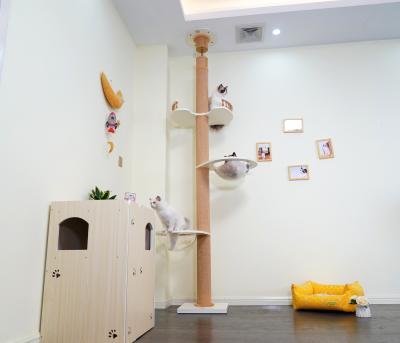 China Large Wooden Cat Climbing Tree Floor To Ceiling Playing House 82*40*87cm for sale