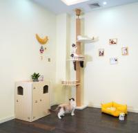 China Large Wooden Cat Climbing Tree Floor To Ceiling Playing House 82*40*87cm for sale