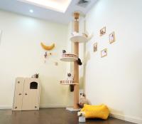China Large Wooden Cat Climbing Tree Floor To Ceiling Playing House 82*40*87cm for sale