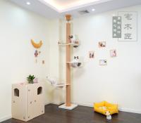 China Large Wooden Cat Climbing Tree Floor To Ceiling Playing House 82*40*87cm for sale