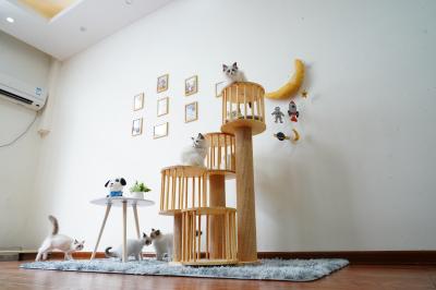 China Durable House Kitten Cat Climbing Tree Tower Condo With Scratching Posts for sale