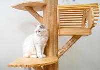China 123cm Large Solid Wood Cat Climbing Tree Cat Activity Tower With Scratching Posts for sale