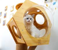 China Luxury Hexagon Wooden Pet Bed Cave Cat Climbing Tower With Space Capsule for sale
