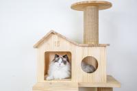 China L Size Cat Scratch House Tower Condo Sisal Rope Wrapped Wooden Cat Bed 60*50*125.5cm for sale