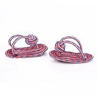 China TPR Foaming Dog Pet Toys Puppy Chew Toys Interactive for sale