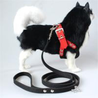China Hallupets Soft Mesh Padded Collar Leash Harness Set Dog Chest And Back Traction for sale