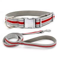 China Comfortable Zinc Alloy Drawstring Puppy Lead And Collar Set Reflective Ribbon Dog Leash for sale