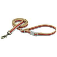 China Engraved Bronze Alloy Buckle Rope Dog Leash 3 Color Webbing Collar And Leash Set for sale