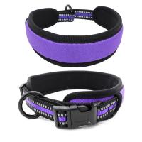 China Neoprene Lining dog Collar Leash Set Reflective Webbing Quick Release Buckle Collar With Traction Rope Set Dog Leash for sale