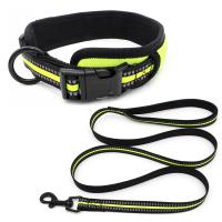 China Neoprene Lining dog Collar Leash Set Reflective Webbing Quick Release Buckle Collar With Traction Rope Set Dog Leash for sale