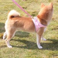 China New Suede Reflective Red Dog Leash Vest Explosion Proof for sale