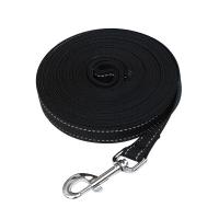 China Soft Padded Handle Reflective Nylon Dog Leash With For Training Walking Lead Dogs for sale